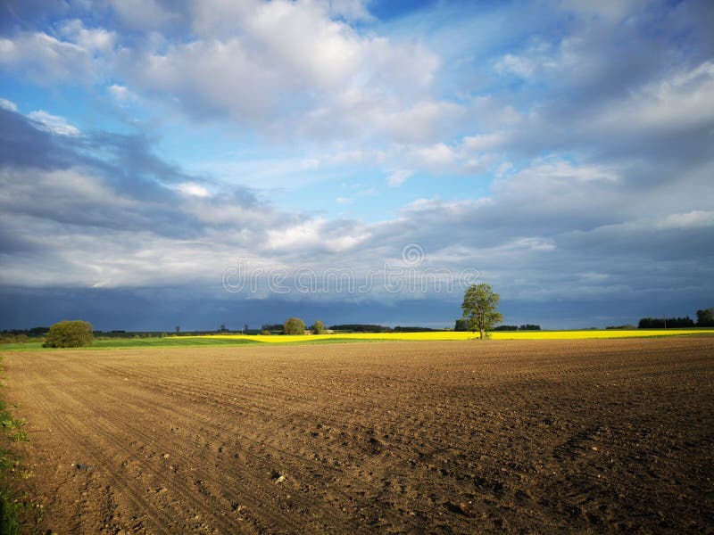 Agricultural Fields in Spring Stock Image - Image of land, beautiful ...