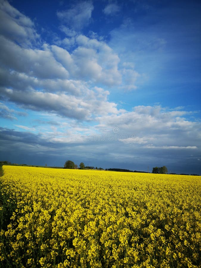 Agricultural Fields in Spring Stock Photo - Image of field, spring ...