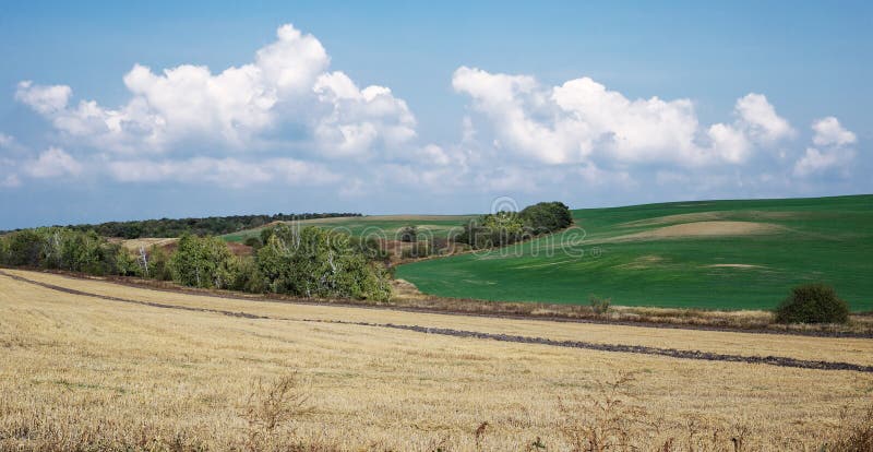Agricultural Fields in Countryside Stock Photo - Image of grass, fields ...