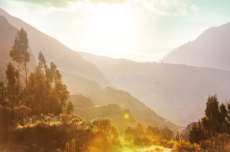 Fields in Peru stock image. Image of high, daytime, landscape - 210956591
