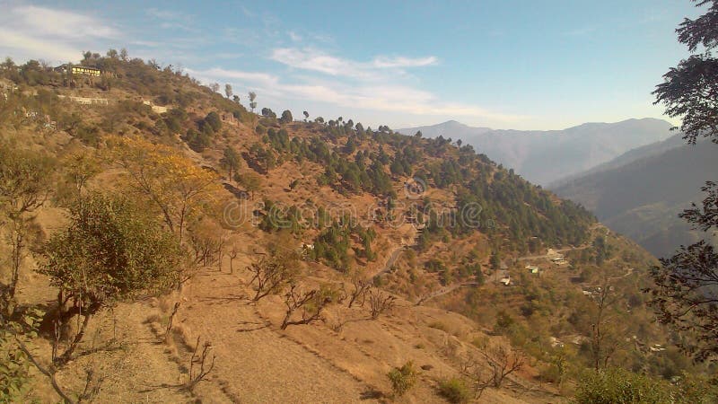 Agricultural Fields in Himalayan Regions of Uttrakhand State of India ...