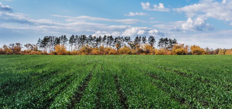 Agricultural Field in Europe Stock Image - Image of fields, hill: 124535805