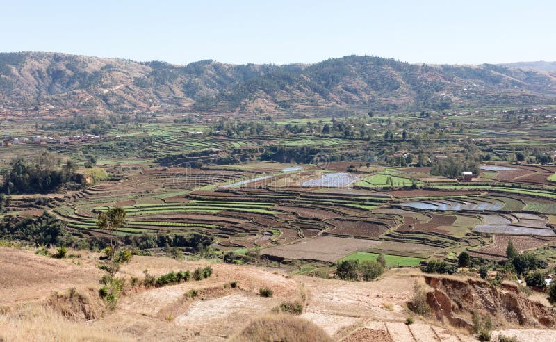 Agricultural Fields in Madagascar Stock Photo - Image of middle ...