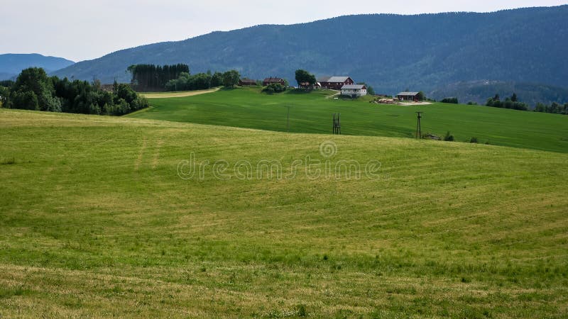 Agricultural Fields in Norway Stock Photo - Image of background, close ...