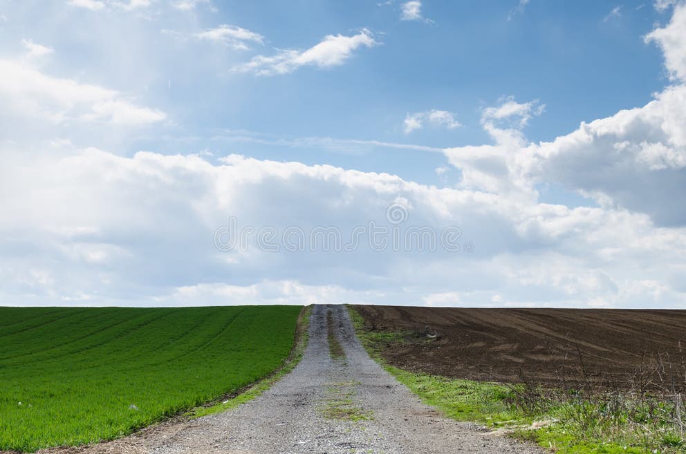 Agricultural Fields with Path between Stock Image - Image of blue ...