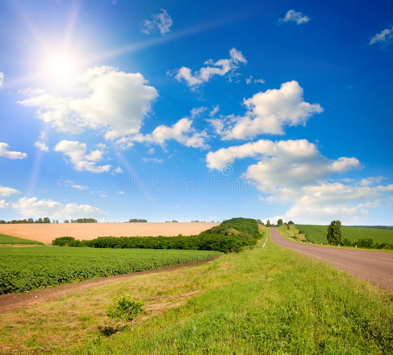 Agricultural Fields and Paved Road Stock Image - Image of sunrise ...