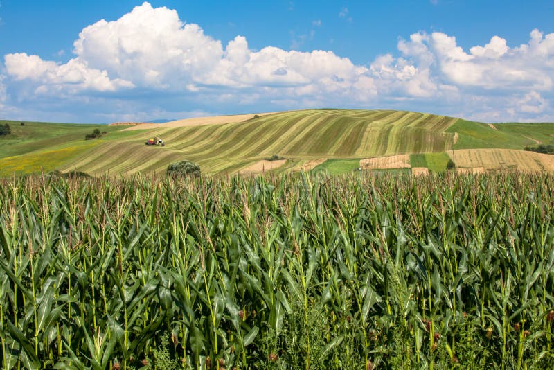 Agricultural fields stock image. Image of landscape, crops - 42796903