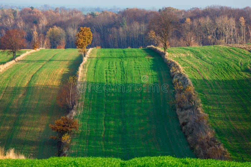 Fields in Rural Countryside Area at Sunset, Poland Stock Image - Image ...