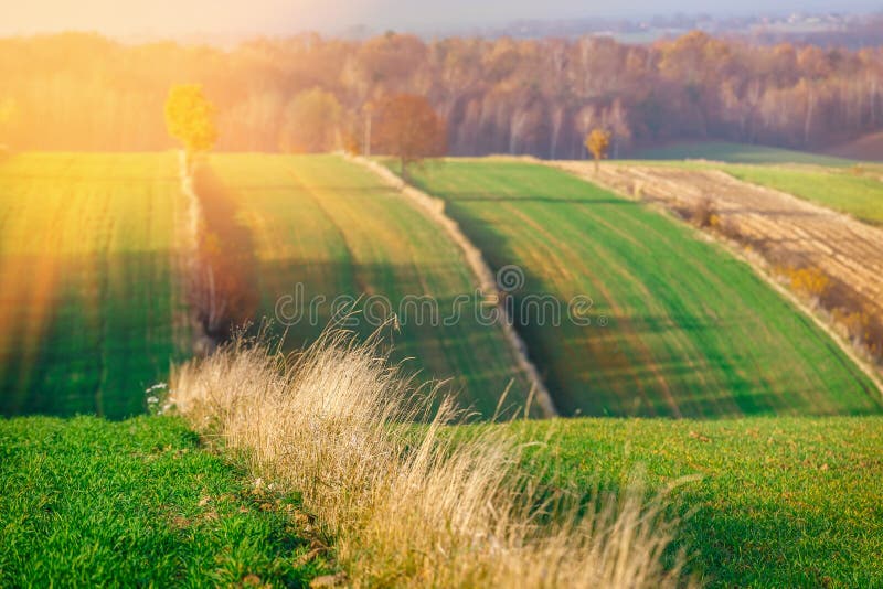 Fields in Rural Countryside Area at Sunset, Poland Stock Image - Image ...