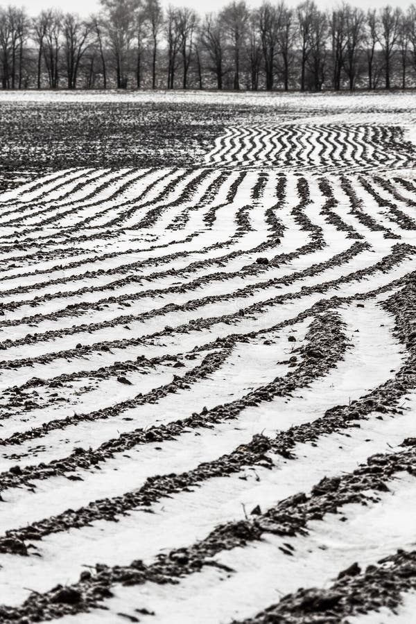 Agricultural Fields Under the Snow Stock Image - Image of landscape ...