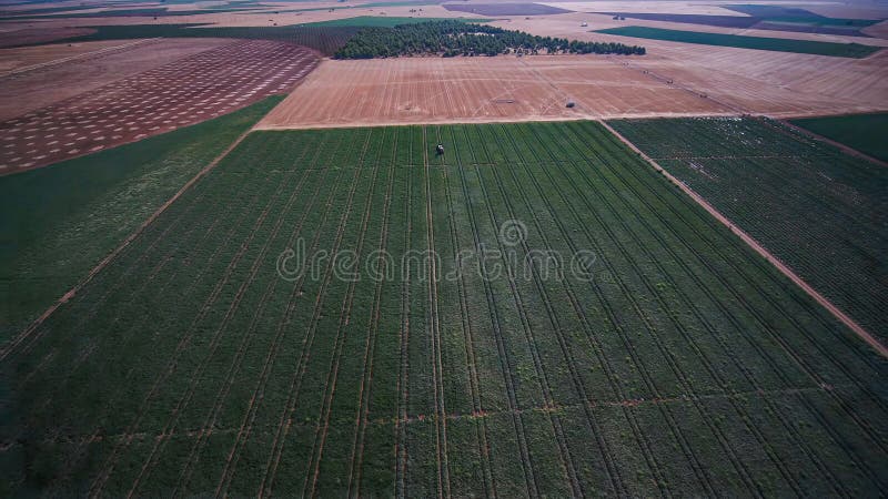 Agricultural Fields Undergoing Fumigation for Pest Control Prior To ...