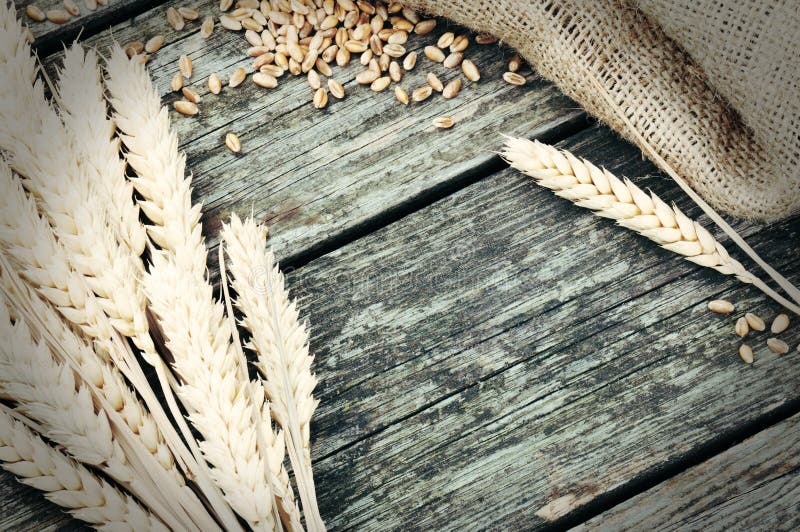 Agricultural Frame with Wheat Stock Photo - Image of loaf, farm: 32015764
