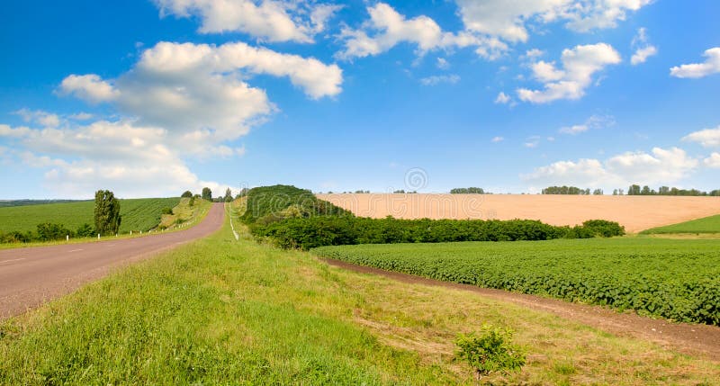 Agricultural Fields and Paved Road. Wide Photo Stock Photo - Image of ...