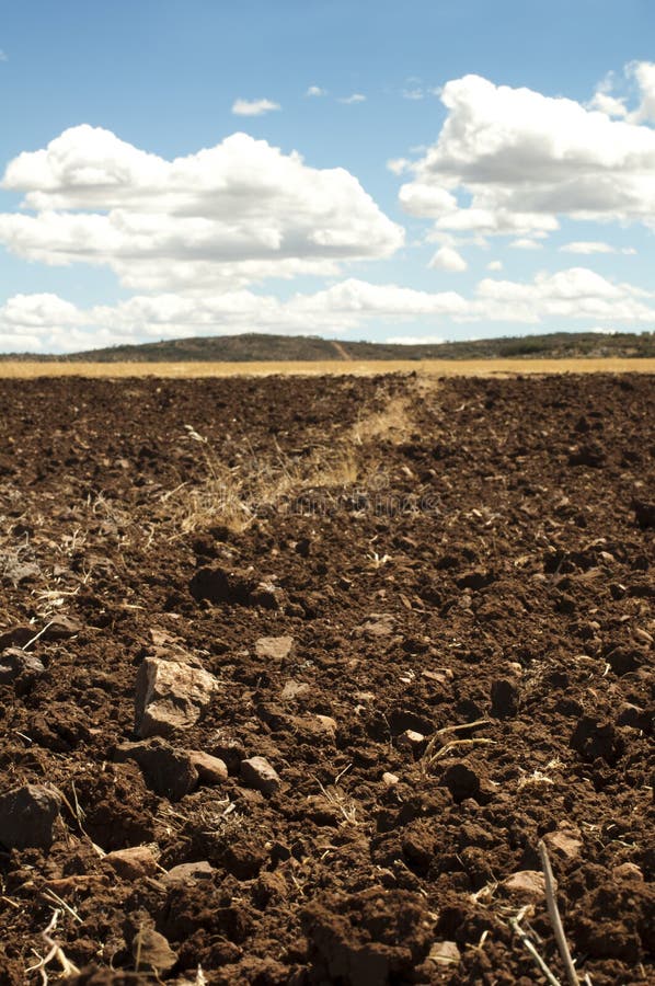Unworked Land, Field. Dirt Texture. Country Dirt Field Texture. Stock ...