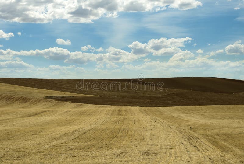 Open dirt farmland. stock photo. Image of field, dirt - 39400822