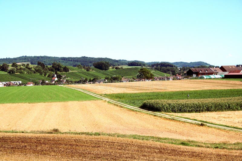 Agricultural Land stock image. Image of road, ground, agriculture - 295463