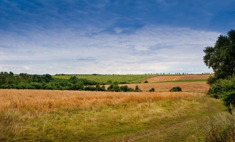 Autumn Landscape of Fields after Harvest Stock Image - Image of field ...