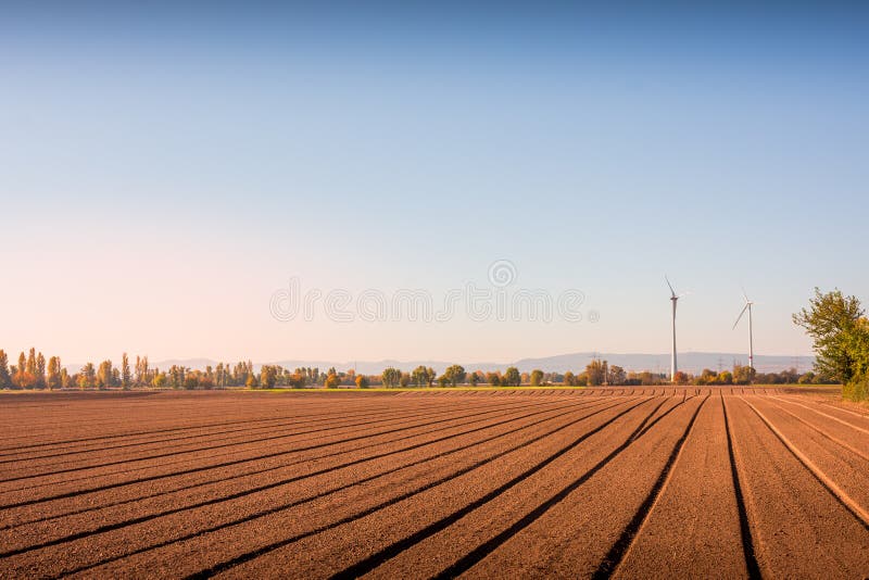 Agricultural Land Field Surrounded with Autumn Trees Stock Image ...