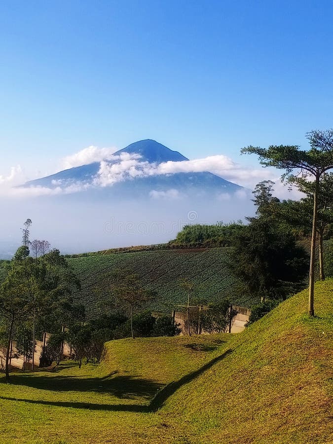 Agricultural Land with a Mountain Background with a Clear Sky Stock ...
