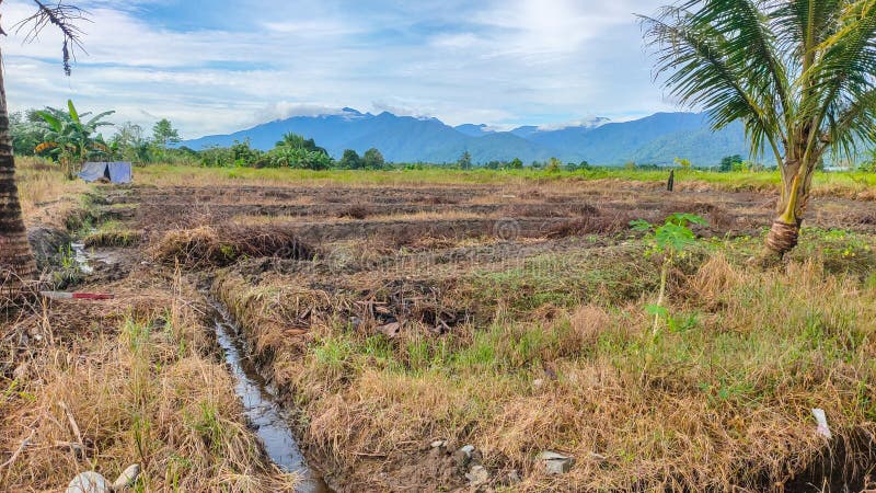 Agricultural Land that is in the Process of Being Prepared for Planting ...