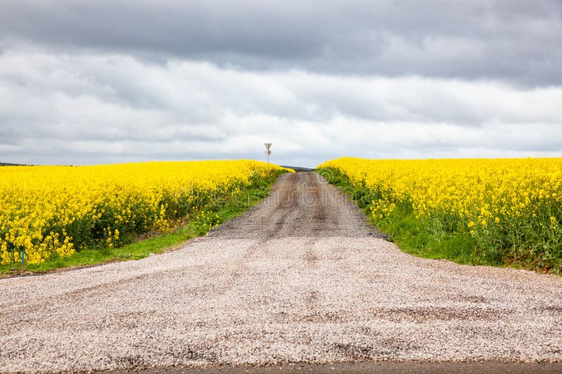 Agricultural Land Ready for Spring Planting Stock Image - Image of ...
