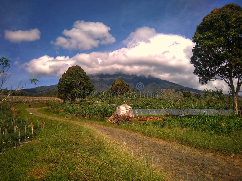 Agricultural Land on the Slopes of the Mountain Stock Photo - Image of ...
