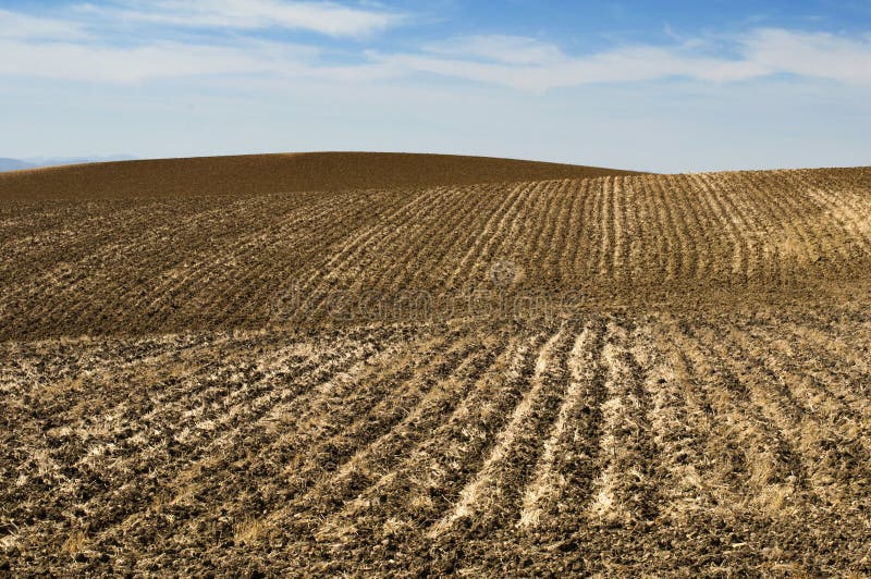 Agricultural Land Soil and Blue Sky Stock Image - Image of environment ...