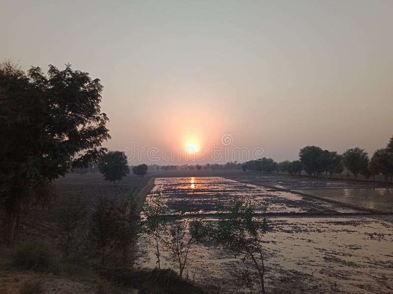 Agricultural Land and Sunset Stock Image - Image of epic, sunset: 132251503