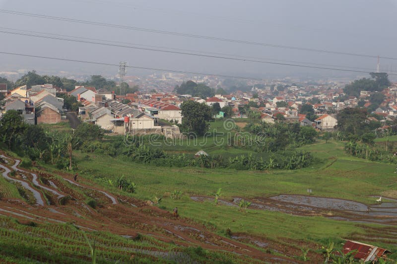 Agricultural Land with Terracing Stock Photo - Image of flower ...