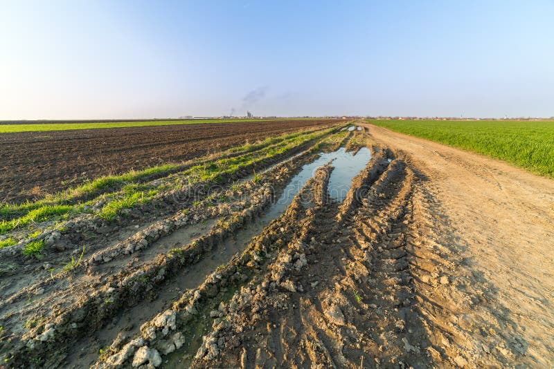 Agricultural Landsaple, Arable Crop Field Stock Image - Image of farm ...