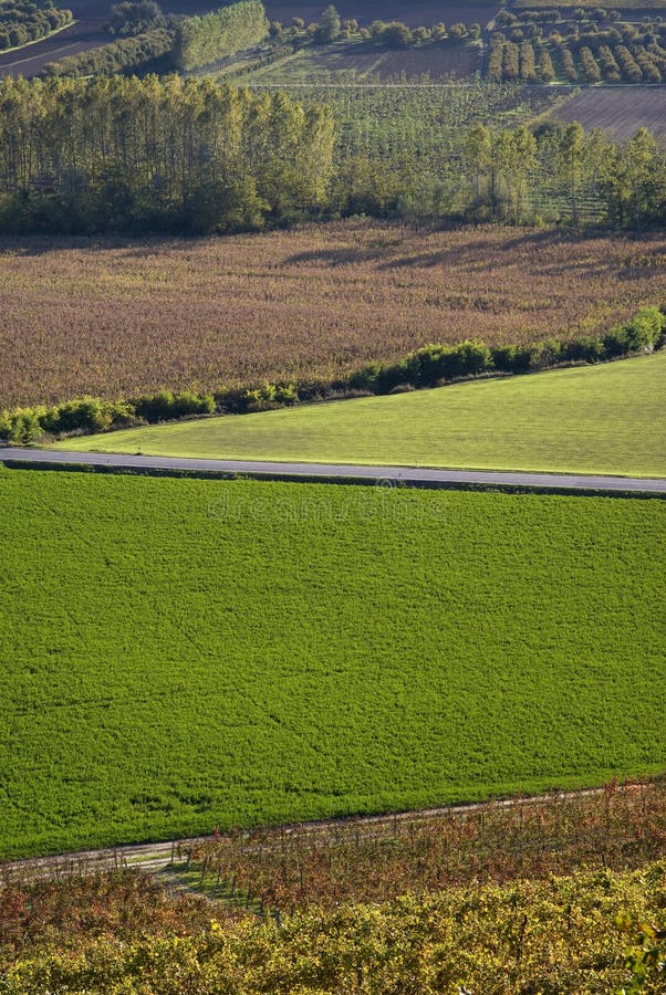 Open Farmland - Virginia stock photo. Image of dreary - 4220750