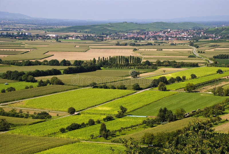 Agricultural landscape stock photo. Image of green, nature - 23291438
