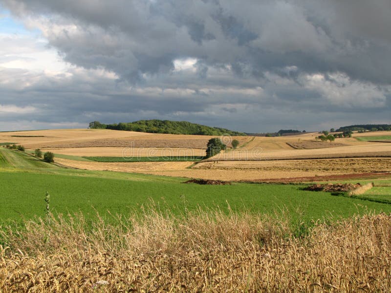 Agricultural landscape stock photo. Image of agriculture - 26909544