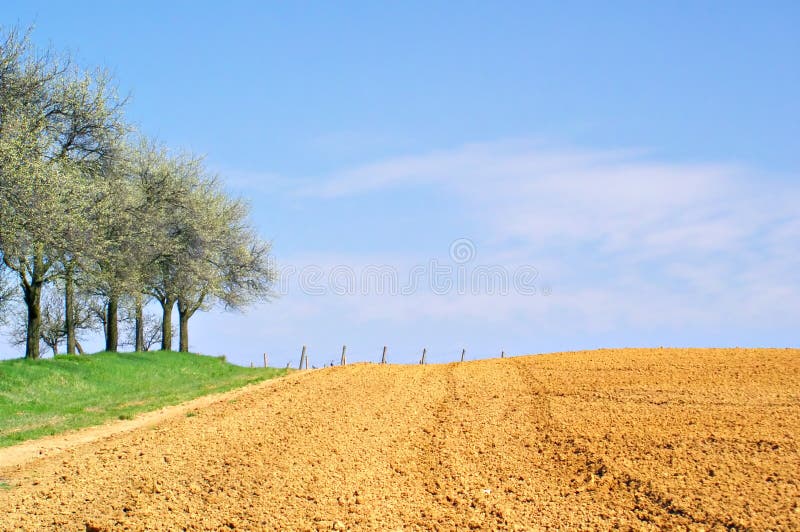 Adobe Clean Fonts Free Stock Photos - Free & Royalty-Free Stock Photos ...