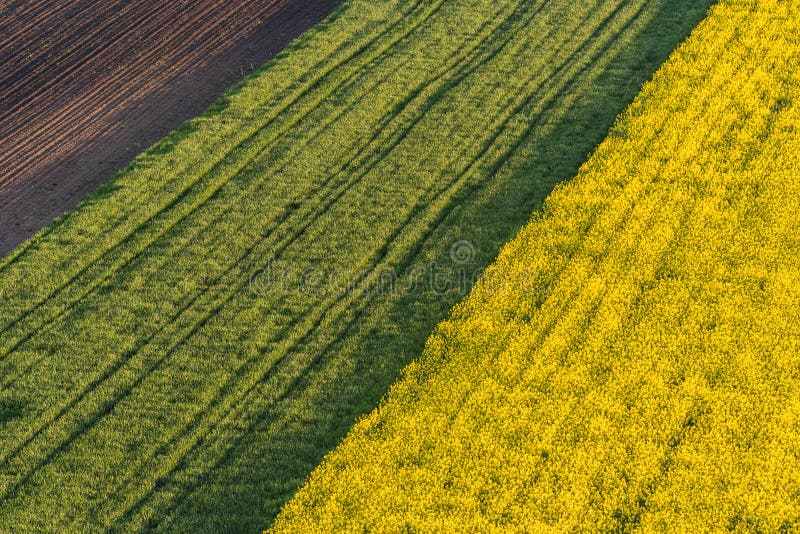 Agricultural Landscape, Arable Crop Fields Stock Photo - Image of ...
