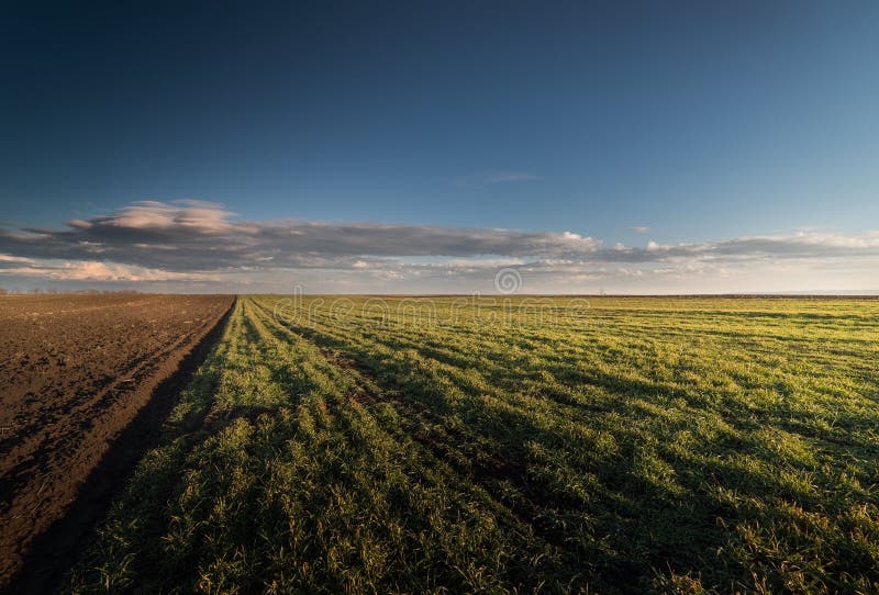 Agricultural Landscape, Arable Crop Fields Stock Photo - Image of field ...