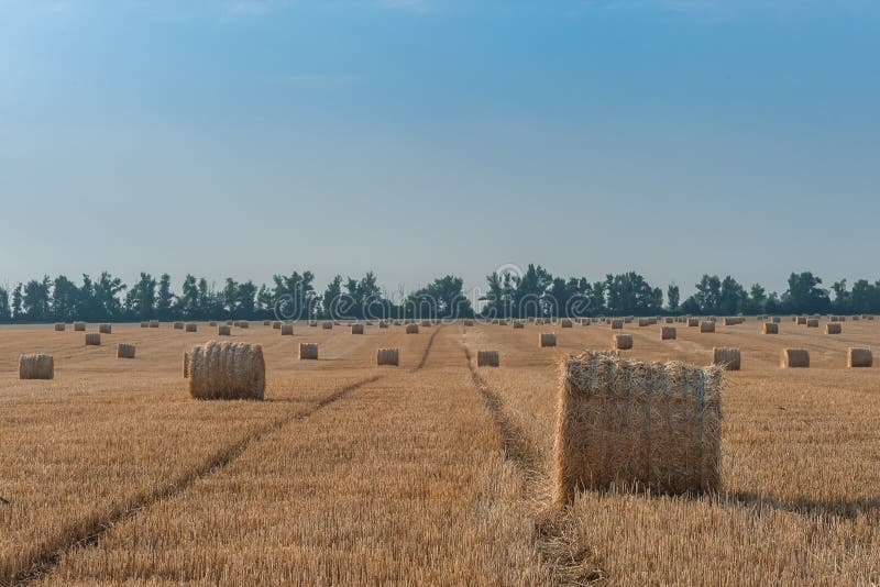 Landscape with boundless stock photo. Image of infinity - 99656042