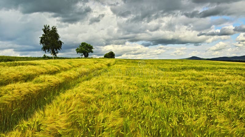 Agricultural landscape stock image. Image of farming - 40339879