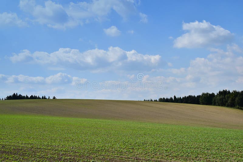 Agricultural Landscape with Fields and Forest. Stock Image - Image of ...