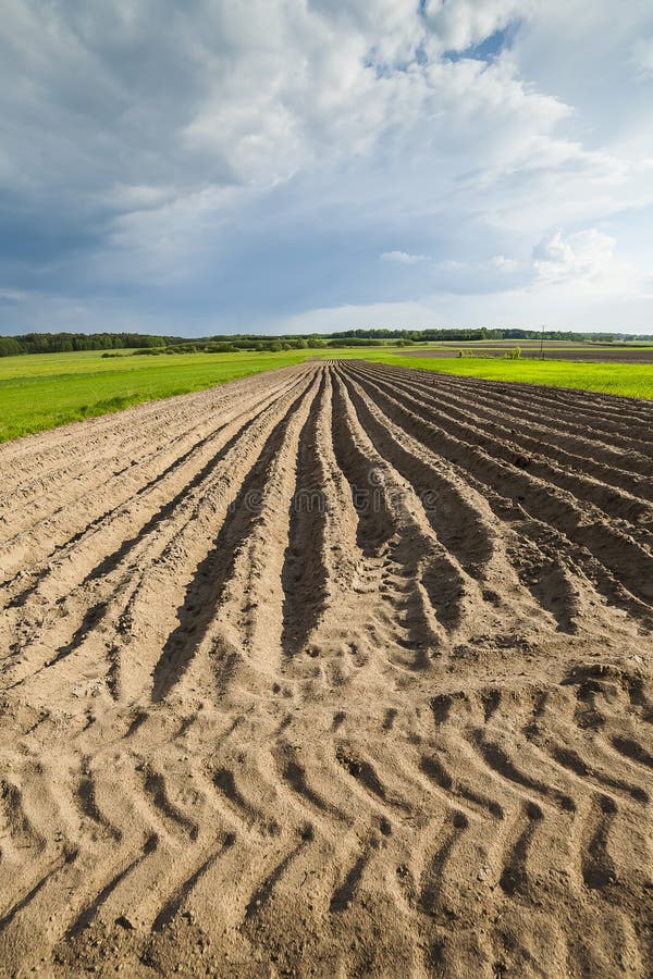 Plowed Field with Visible Rocks. Stock Photo - Image of brown, furrow ...