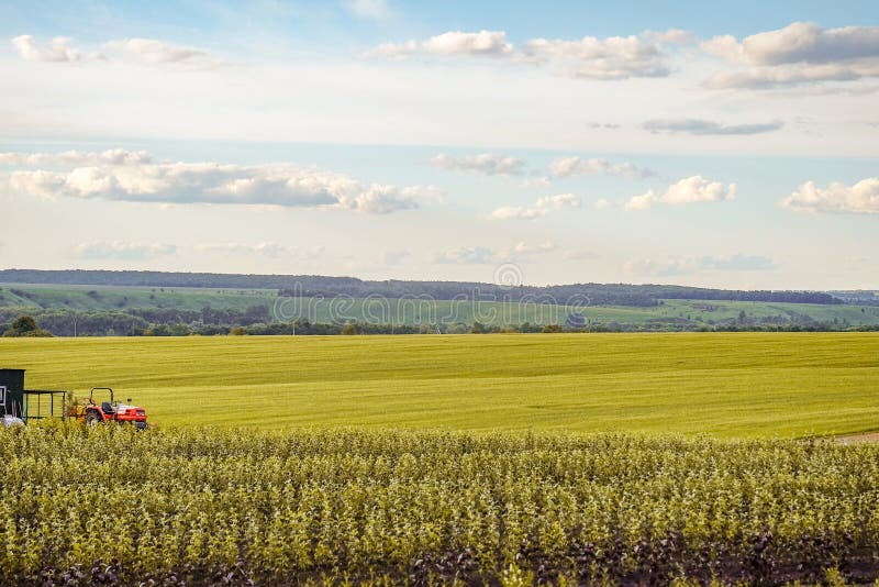 Agricultural landscape stock photo. Image of agrarian - 80560032