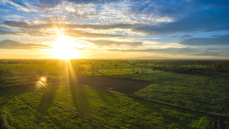 Dawn at the field stock photo. Image of light, clouded - 4394084