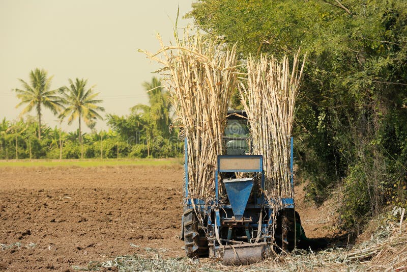 Agricultural Machinery, Sugar Cane. Stock Photo - Image of cargo ...
