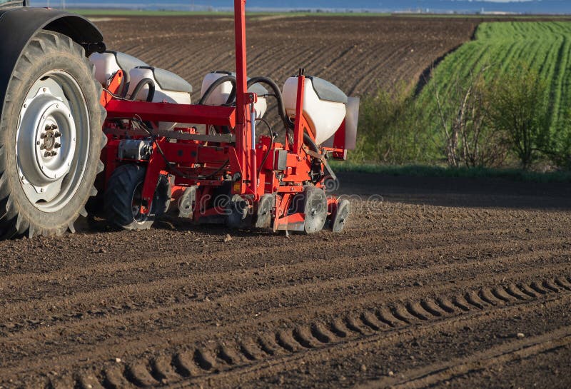Tractor and Seeder for Sowing Corn Stock Image - Image of industry ...