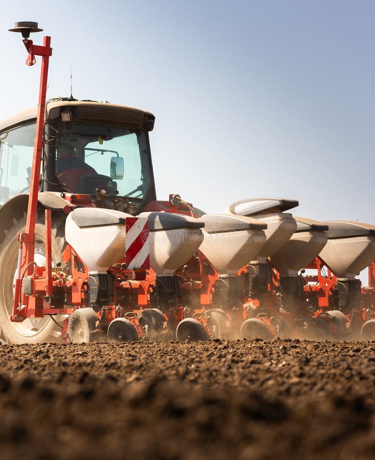 Tractor and Seeder for Sowing Corn Stock Image - Image of maize ...