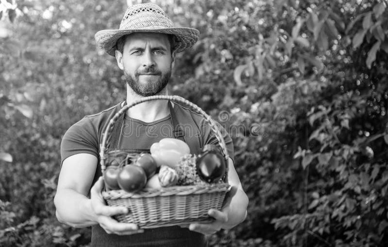 Agricultural Man in Straw Hat Hold Basket Full of Vegetables Stock ...