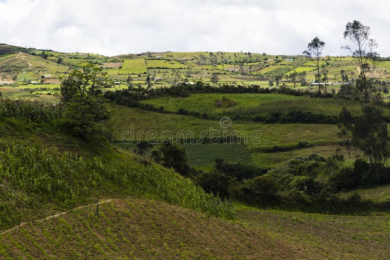 Agricultural Meadows on Rolling Hills Stock Image - Image of ...