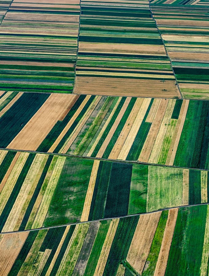 Agricultural Fields. stock image. Image of geometric - 58221017