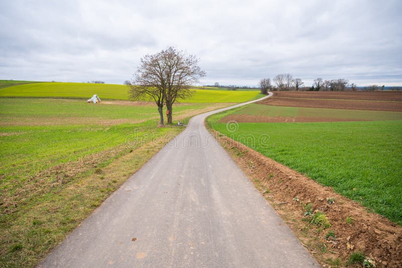 Agricultural Path between Multiple Agricultural Fields Landscape during ...