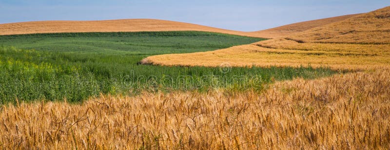 Agricultural Patterns stock image. Image of hills, panorama - 42754163